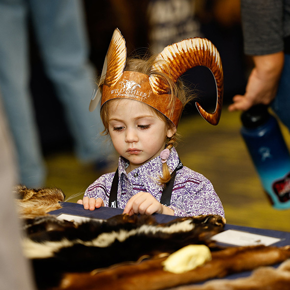 Youth Outreach Shines at Sheep Show