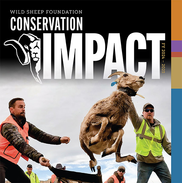 FY 2024-2025 Conservation Impact Summary Released
