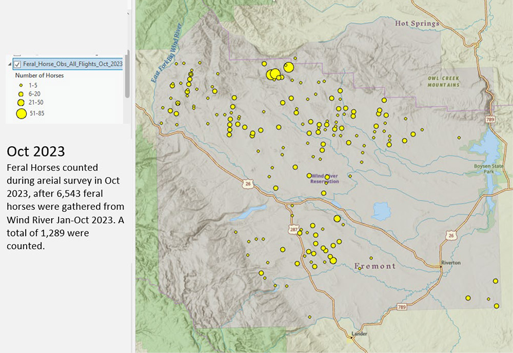 Wild Sheep Foundation > What We Do > Conservation > Feral Horses & Burros